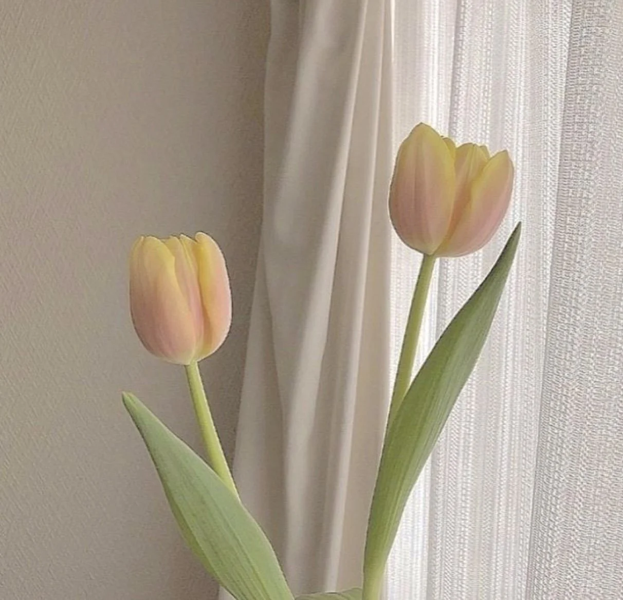 2022 — Christian Lifestyle Blog — Dyani Neves