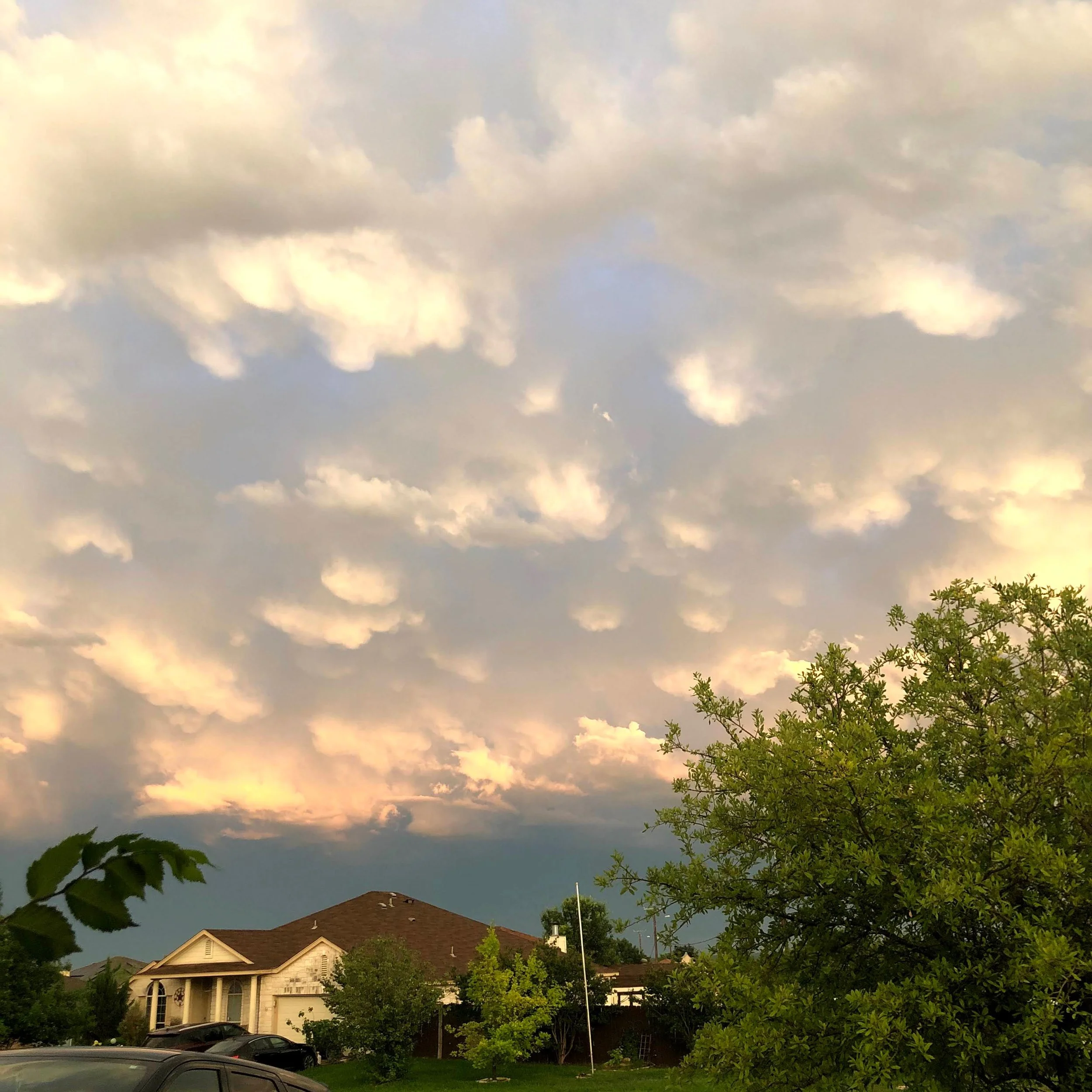 About — Dyani Neves