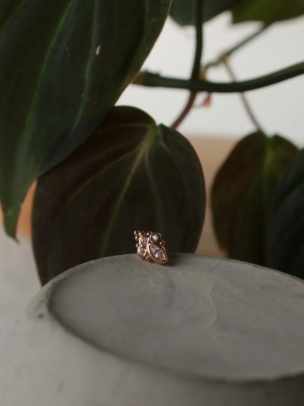 Rose Gold Body Piercing | Rose Gold Body Piercing & Fine Jewellery ...