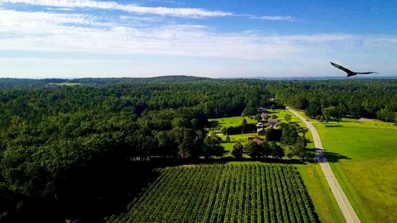 Georgia Wine Highway — Open Georgia Wine