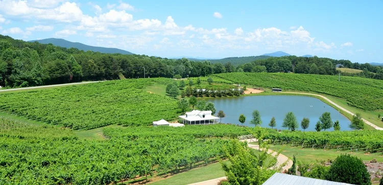 Georgia Wine Highway — Open Georgia Wine