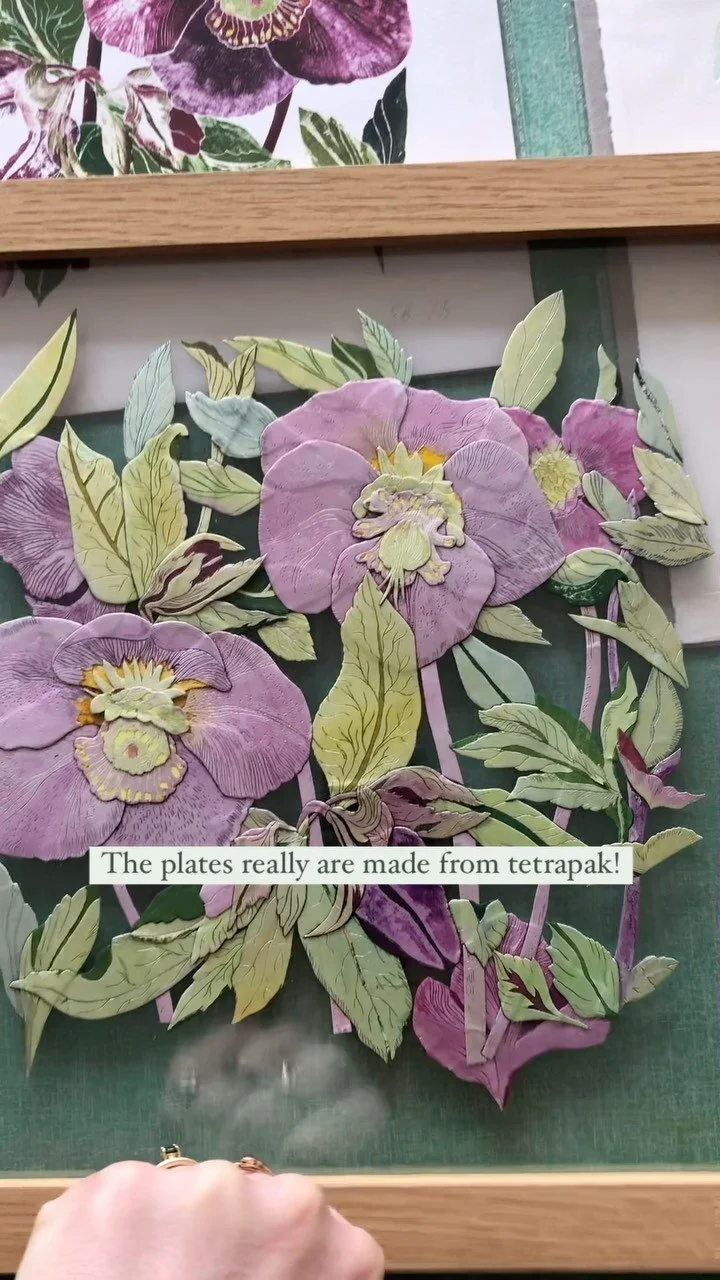 Emma Bond Illustration