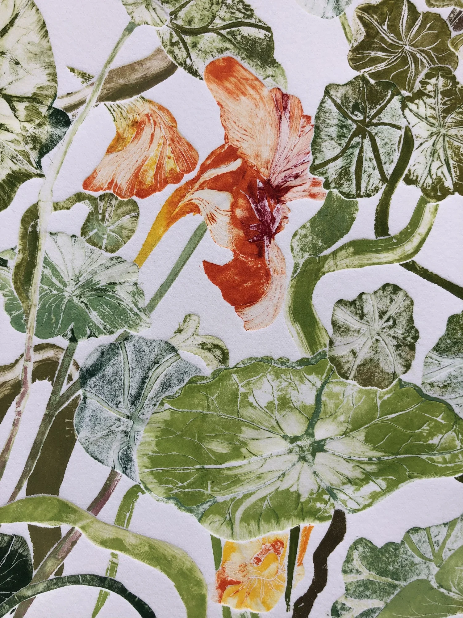 Emma Bond Illustration