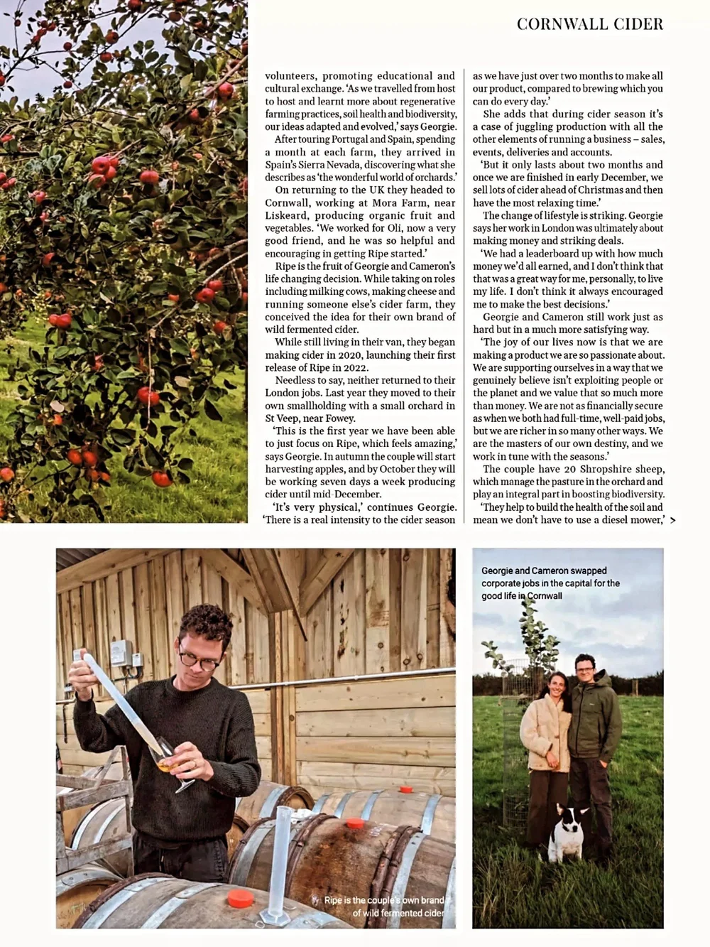 Ripe | Low-intervention natural cider made in Cornwall, UK