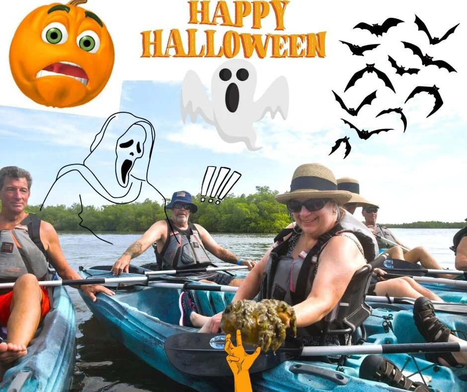 Mangrove Tunnels & Mudflats Kayak Tour — Naples Outfitters