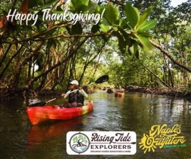 Mangrove Tunnels & Mudflats Kayak Tour — Naples Outfitters