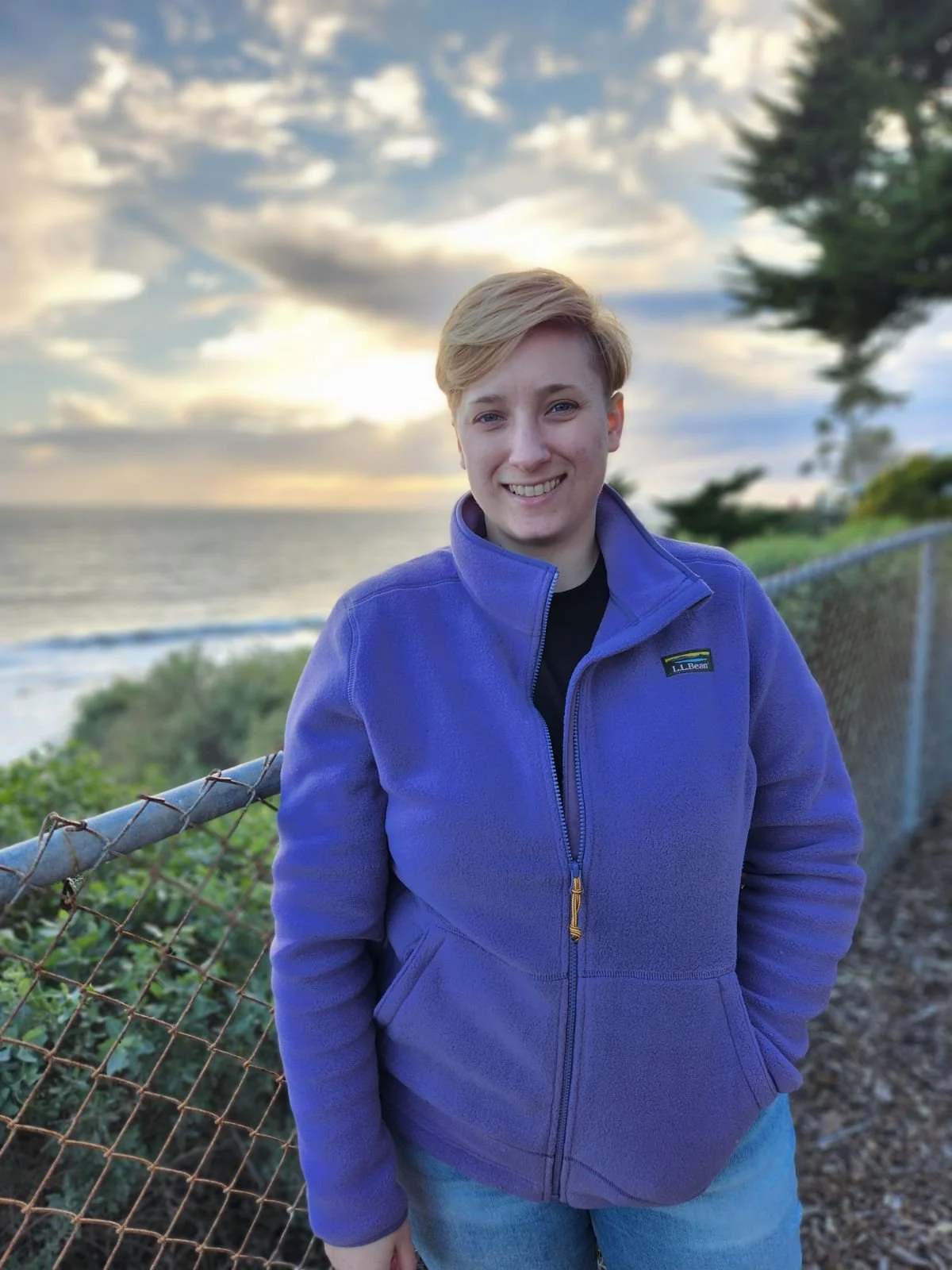 Providing Therapy to Santa Barbara County and Virtually throughout ...