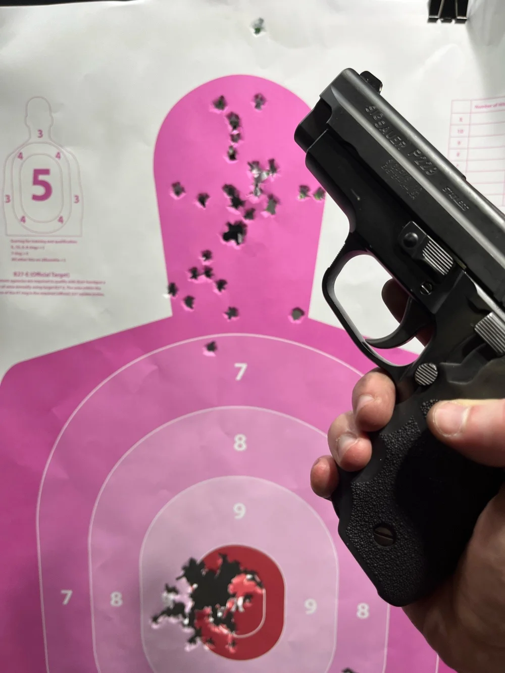 OG Sig P229 Review (in 9mm): Worth the Girth — Hipster Tactical