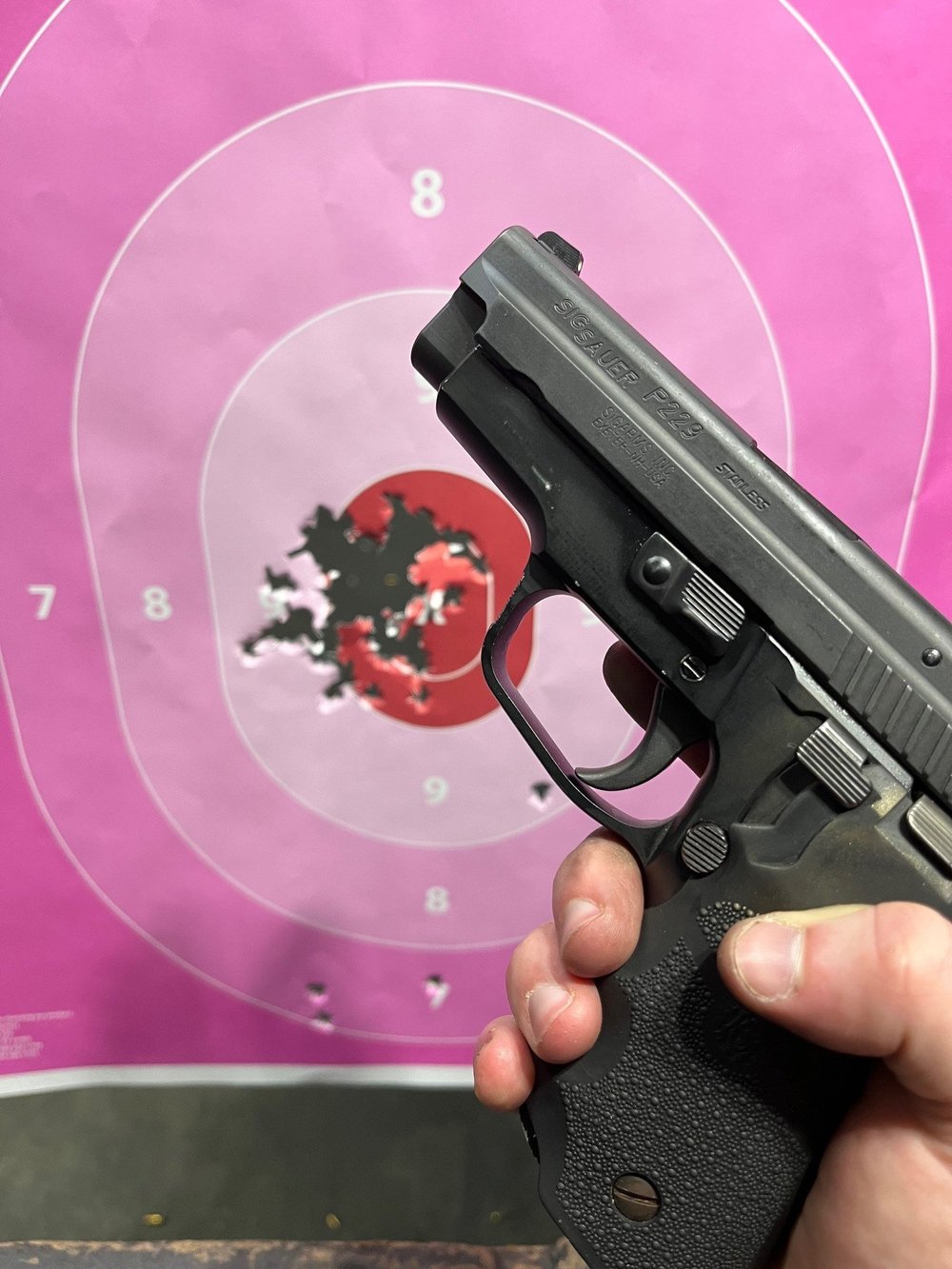 OG Sig P229 Review (in 9mm): Worth the Girth — Hipster Tactical