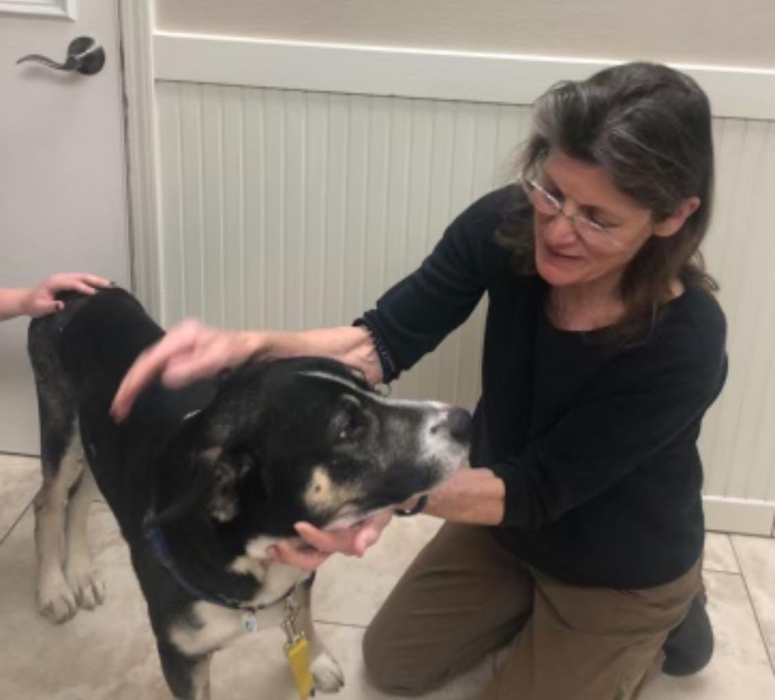 Our Doctors & Staff — Wasson Memorial Veterinary Clinic
