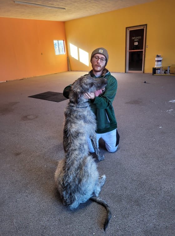 Photos — Doggie Dojo LLC.