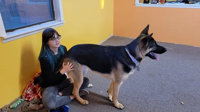 Photos — Doggie Dojo LLC.