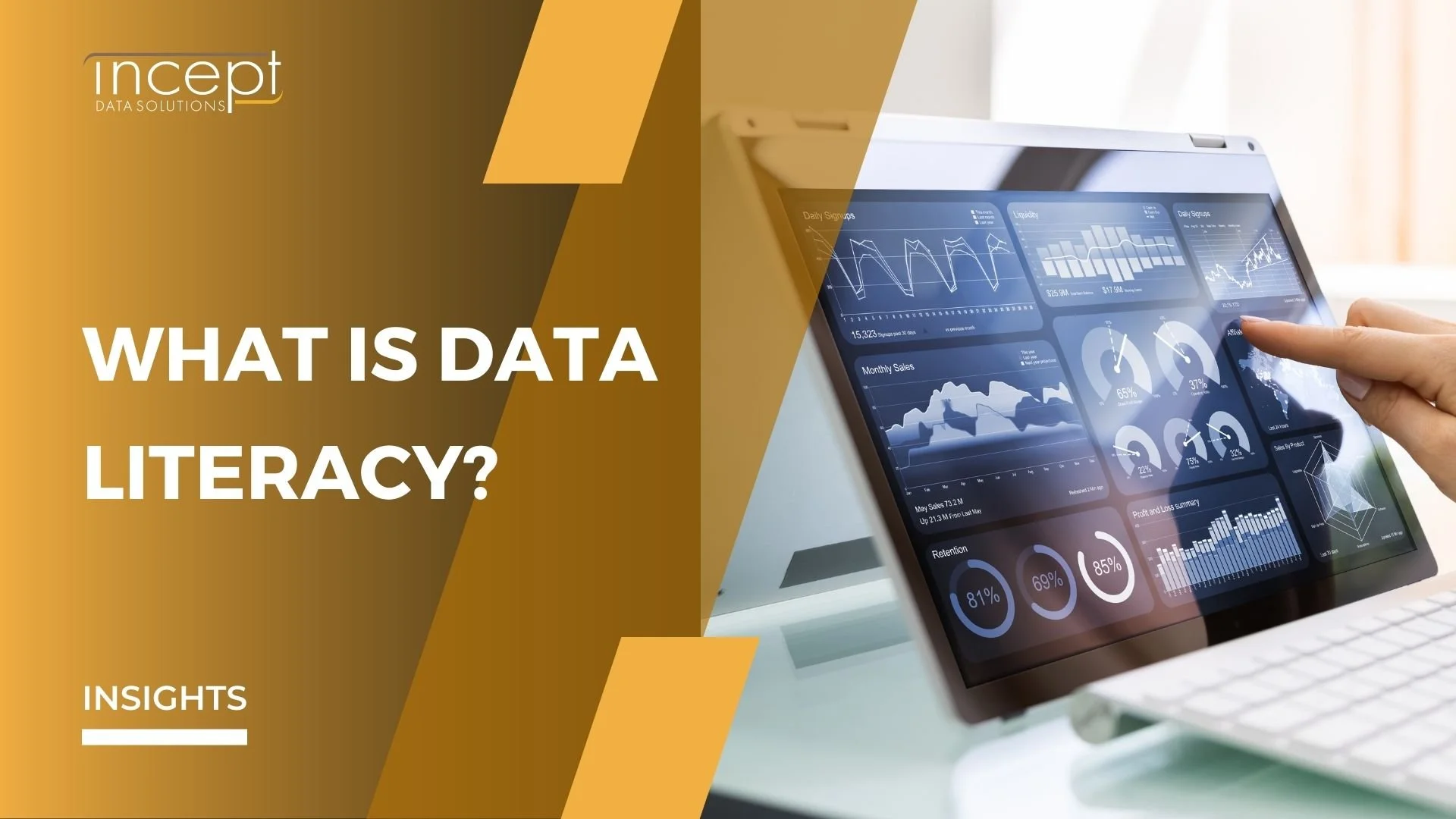 Data Governance Consulting Solutions — Incept Data Solutions, Inc.