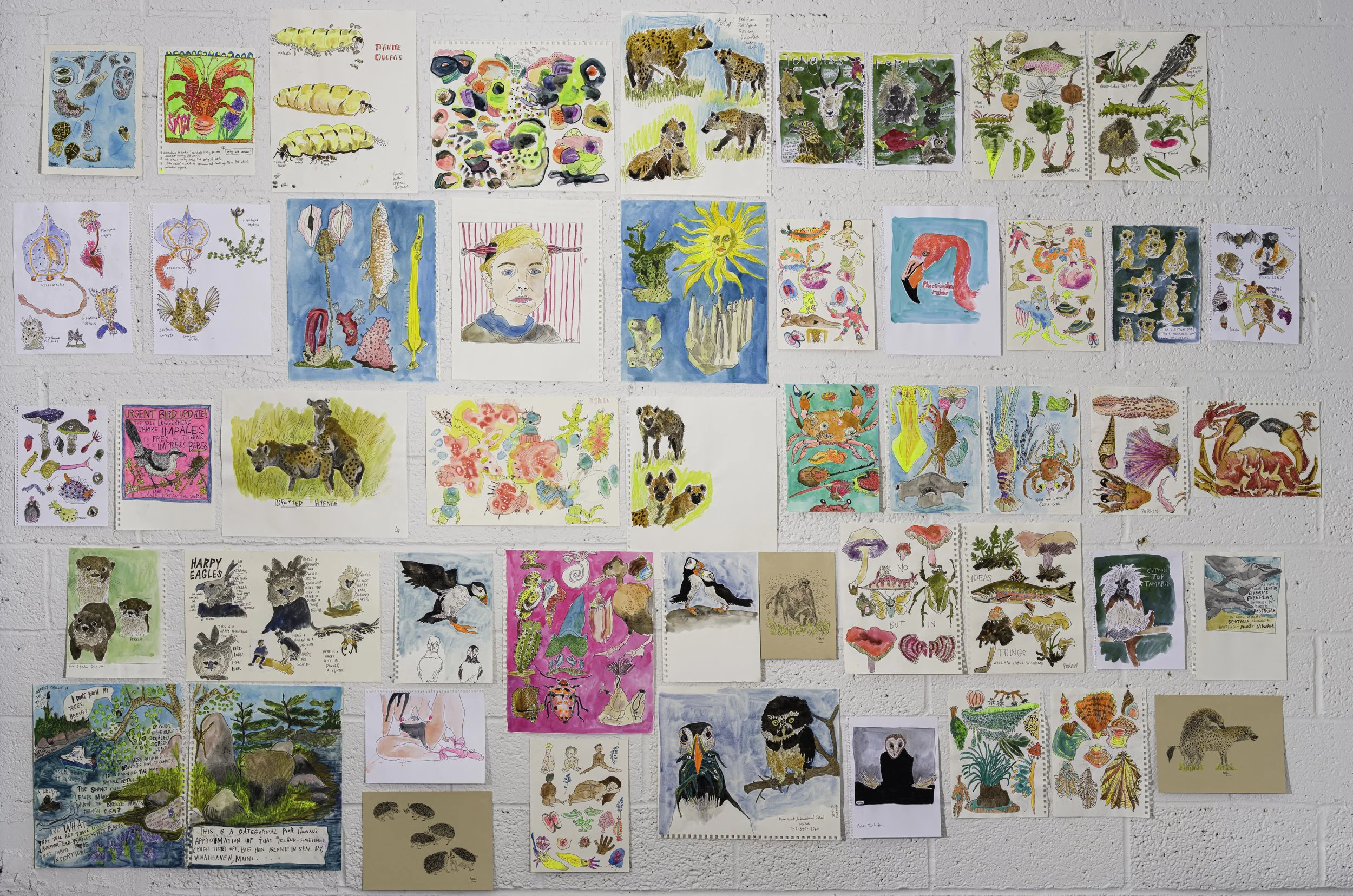 Fouling Communities — Perrin Ireland