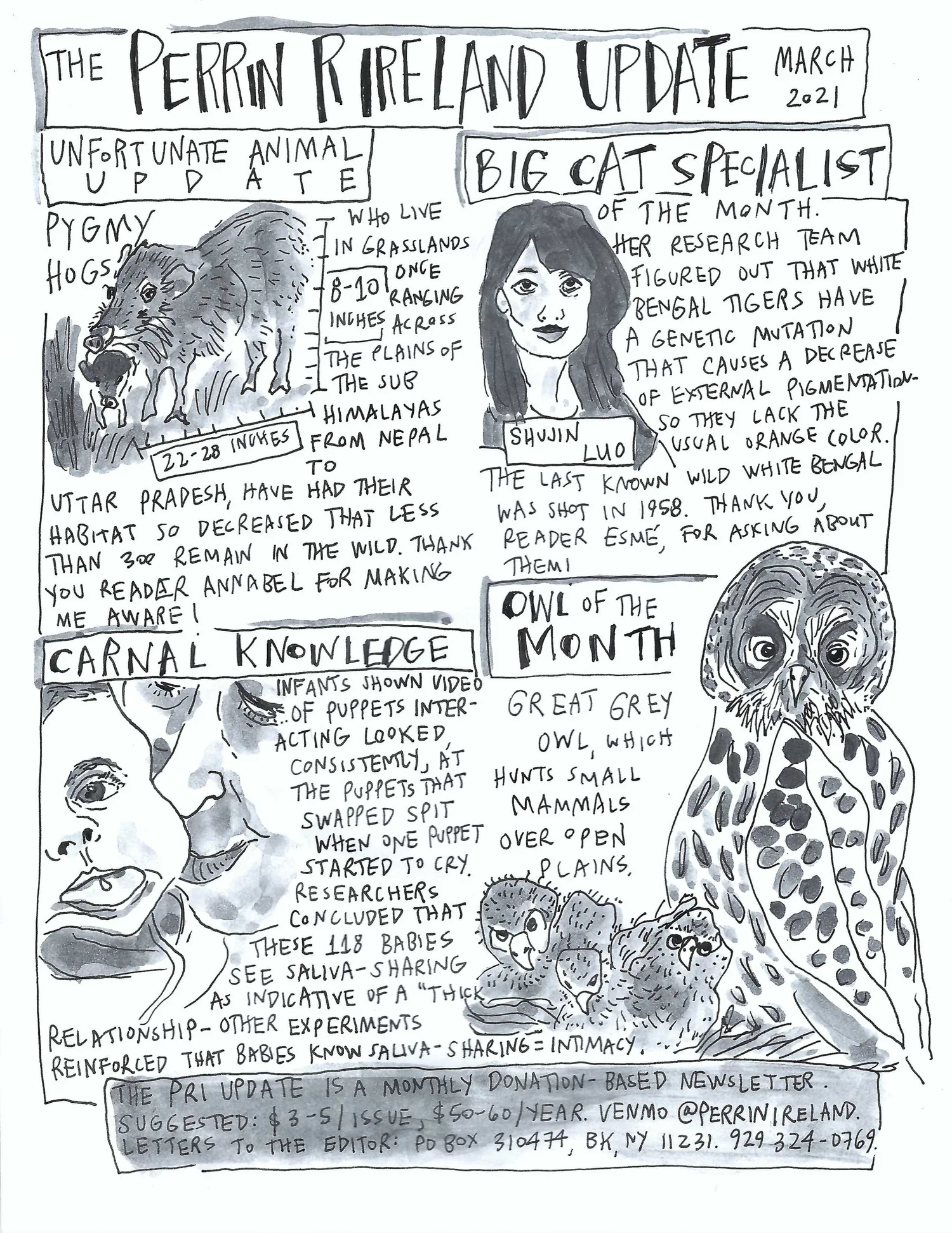 The Perrin R Ireland Update — Perrin Ireland