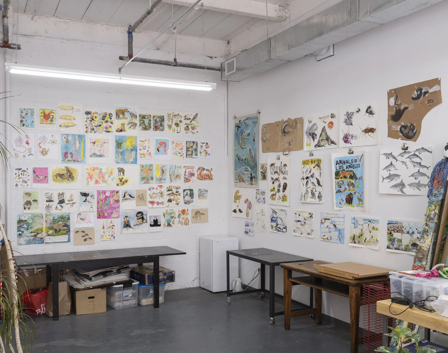 Fouling Communities — Perrin Ireland