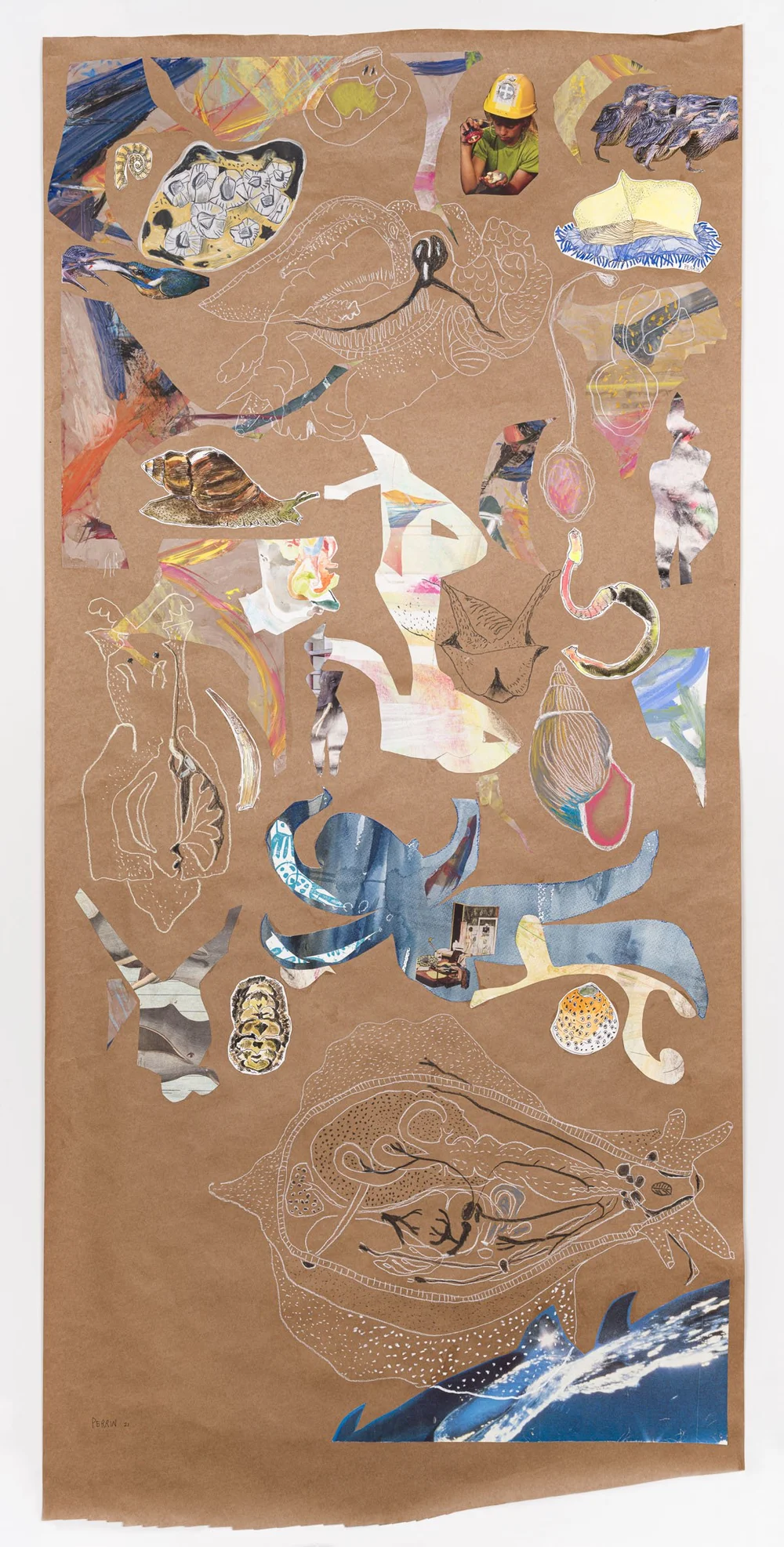 Sheroes — Perrin Ireland