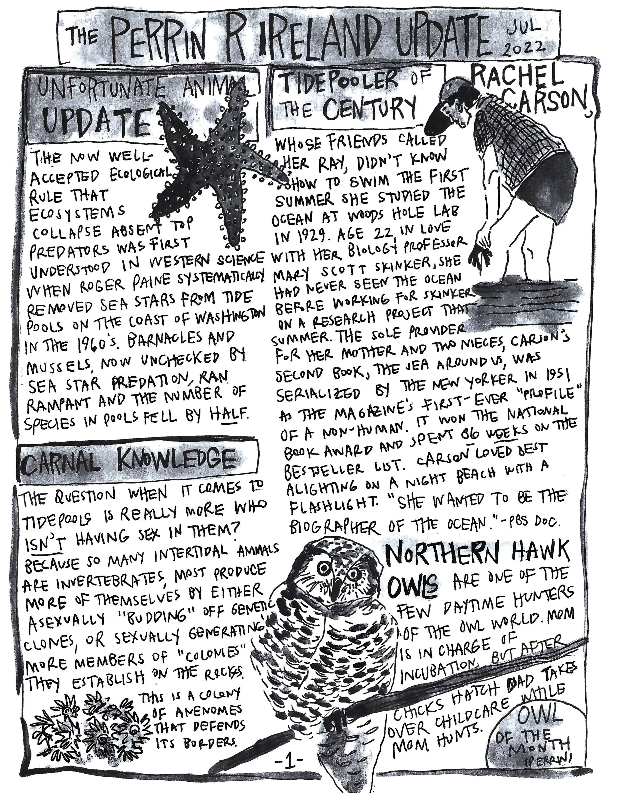 The Perrin R Ireland Update — Perrin Ireland