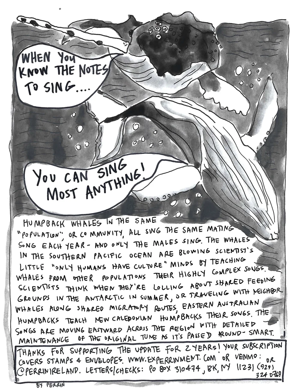 The Perrin R Ireland Update — Perrin Ireland