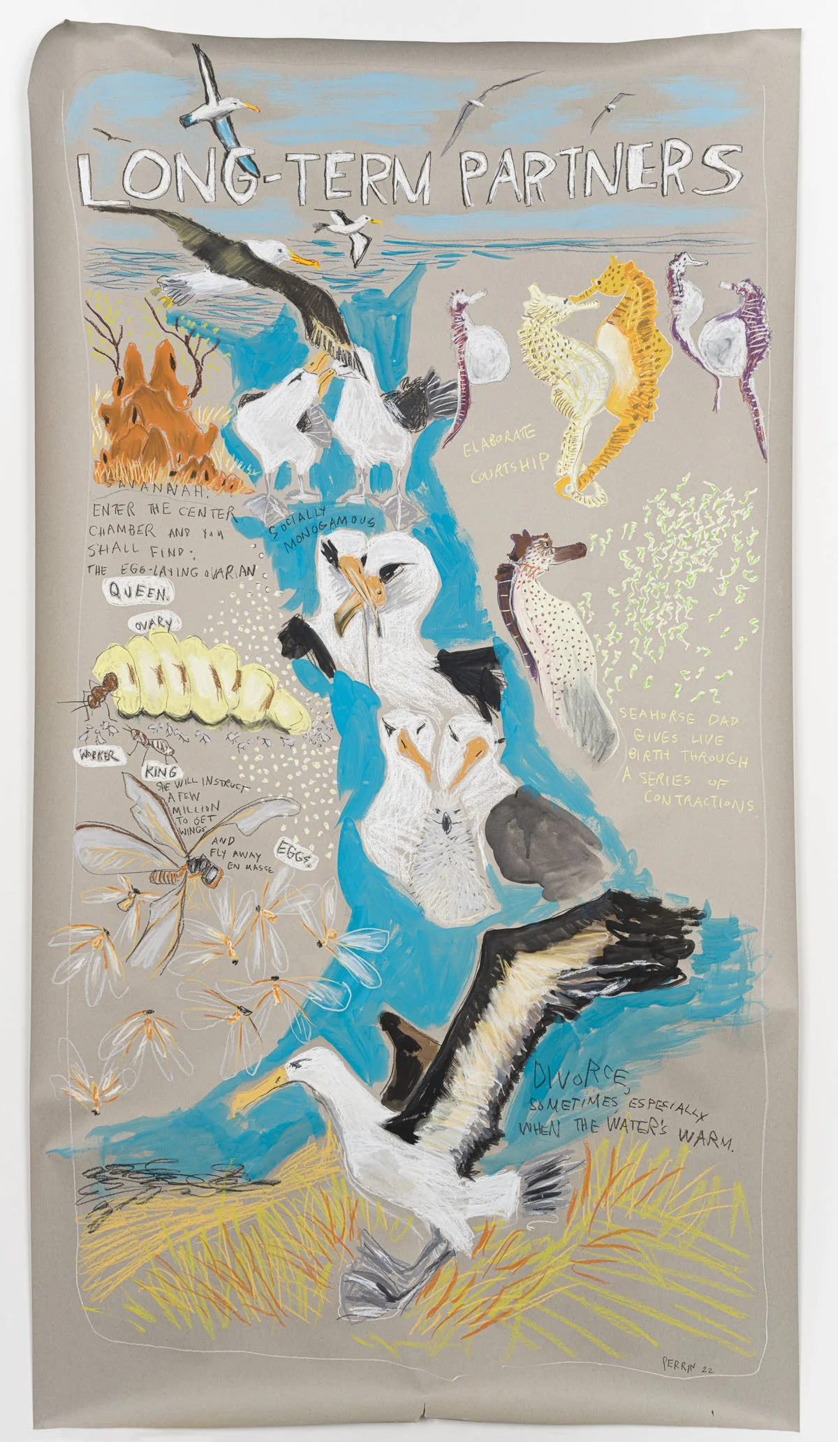 Sheroes — Perrin Ireland