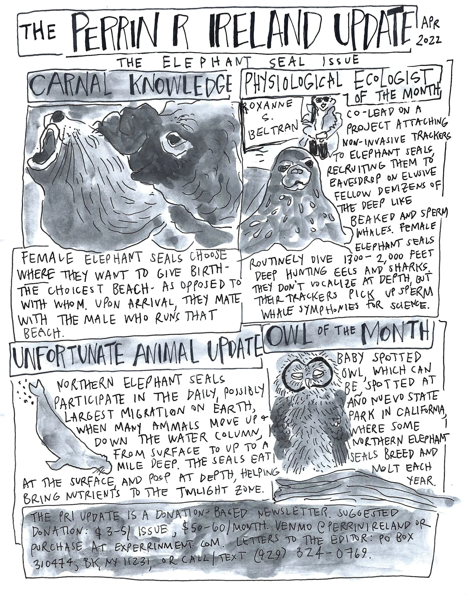 The Perrin R Ireland Update — Perrin Ireland