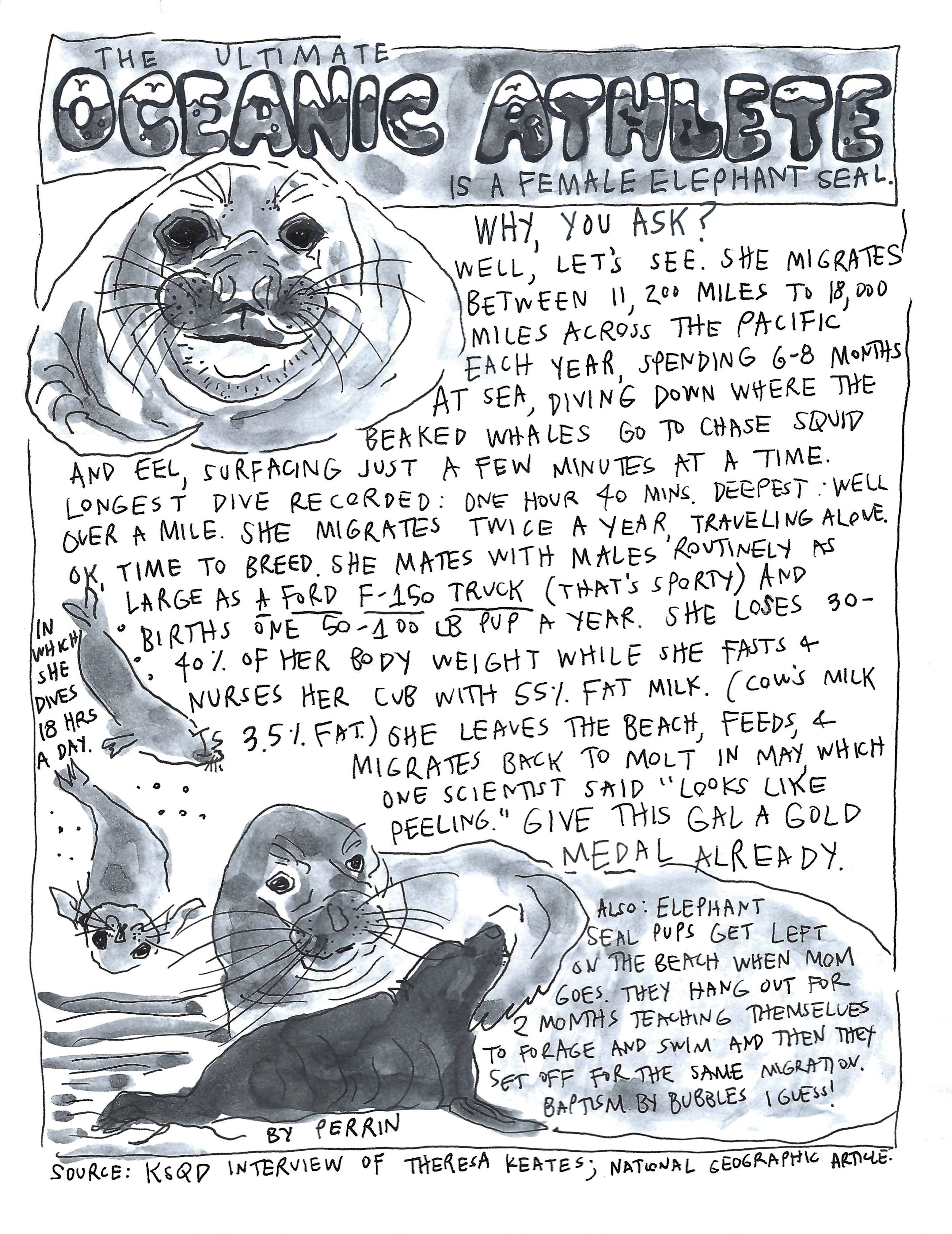 The Perrin R Ireland Update — Perrin Ireland