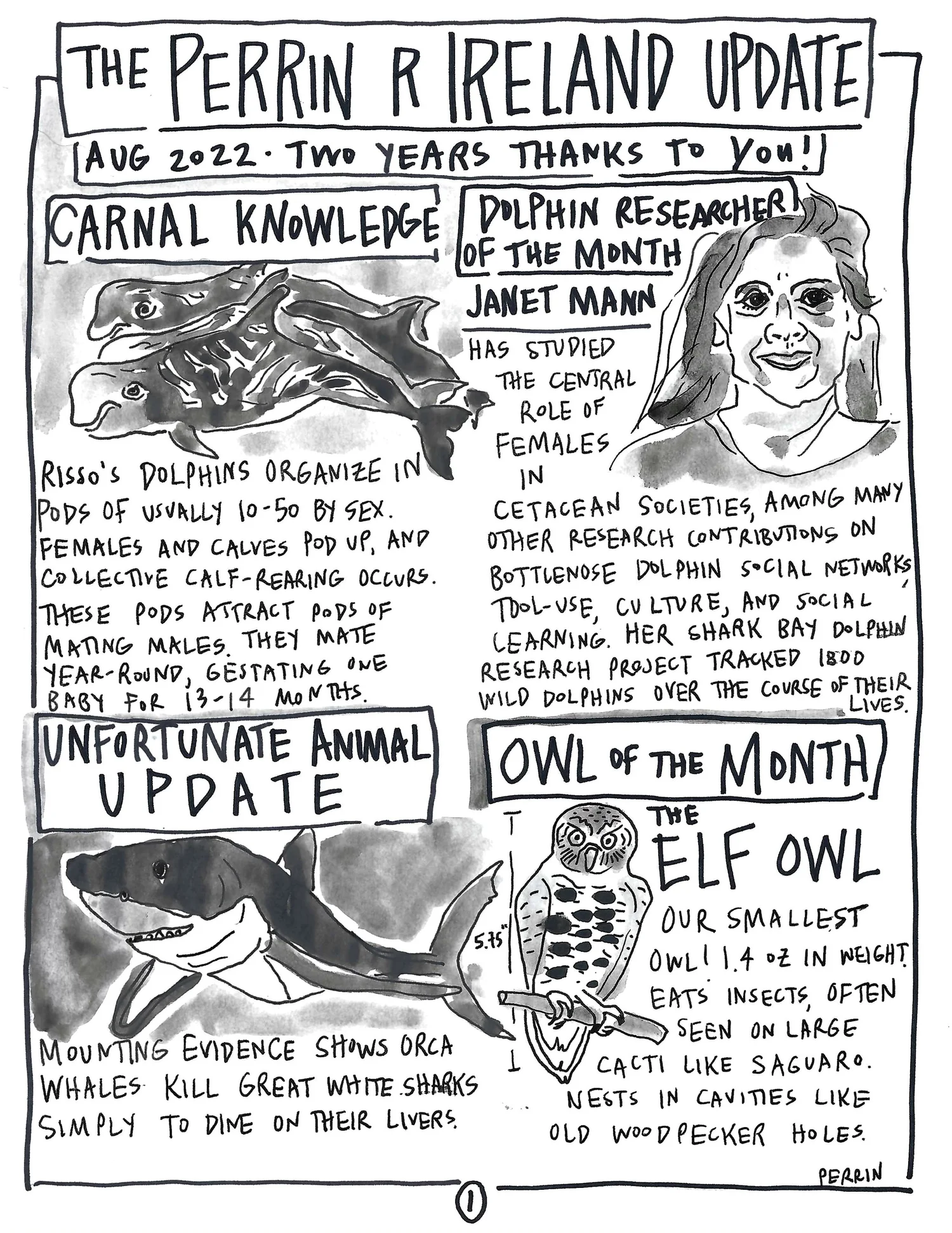 The Perrin R Ireland Update — Perrin Ireland