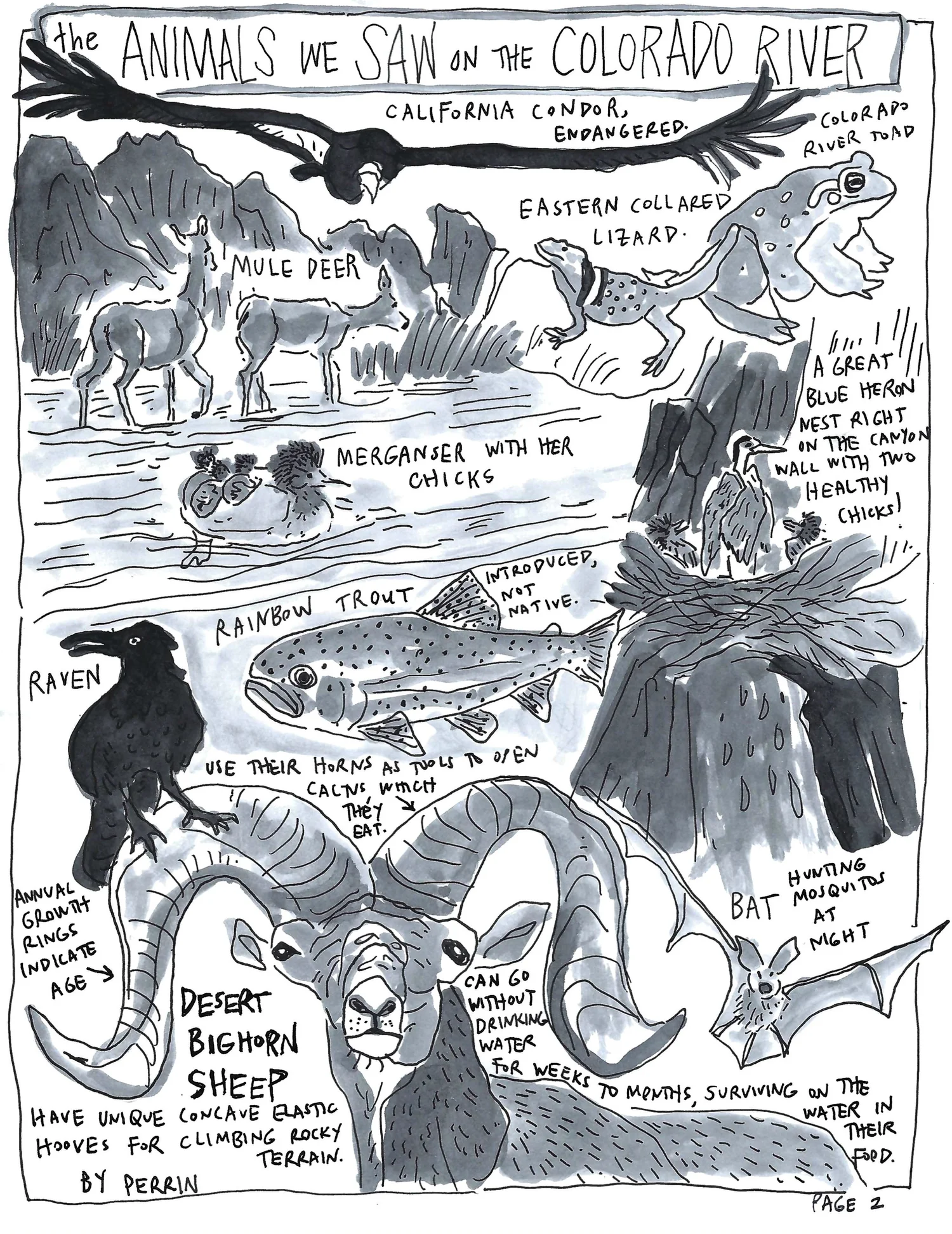 The Perrin R Ireland Update — Perrin Ireland