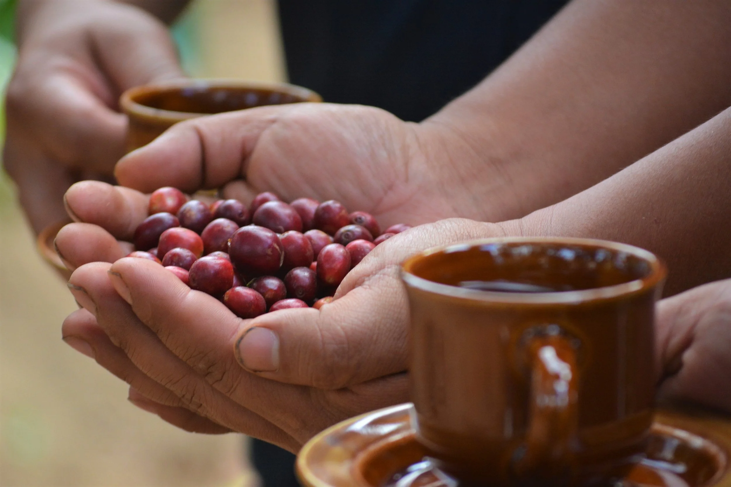Best Coffee Tour in Antigua Guatemala — De La Gente