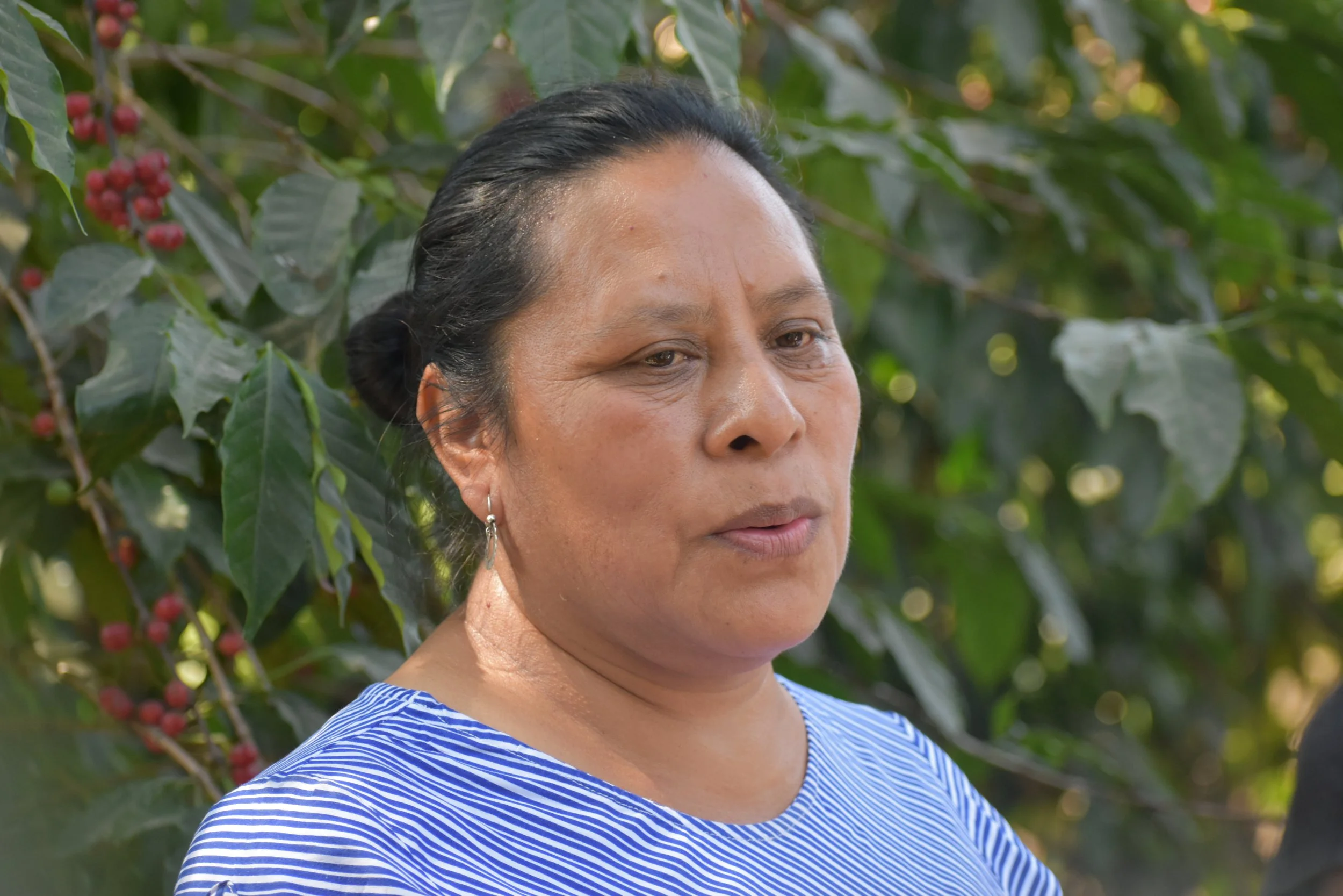 Women Who Inspire Inclusion | Women Caficultora Network Project — De La ...