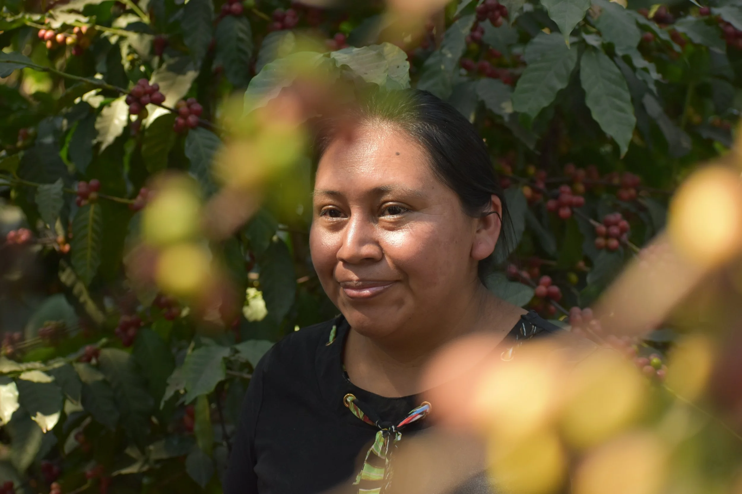 Women Who Inspire Inclusion | Women Caficultora Network Project — De La ...