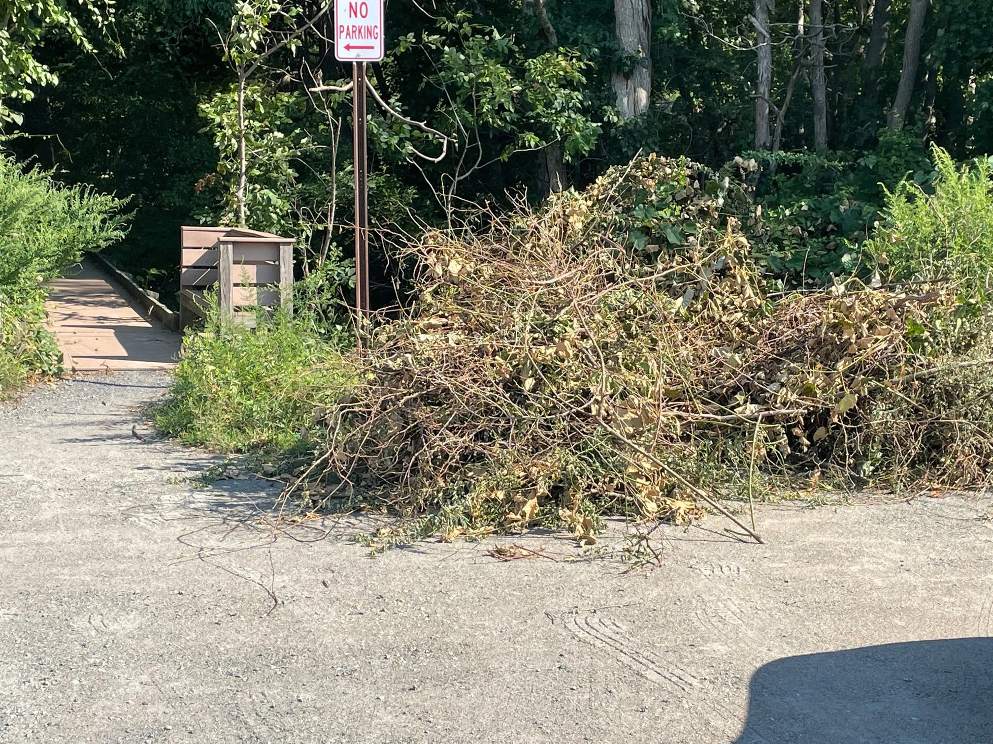 Removing Invasive Plants — Sustainable Sharon Coalition