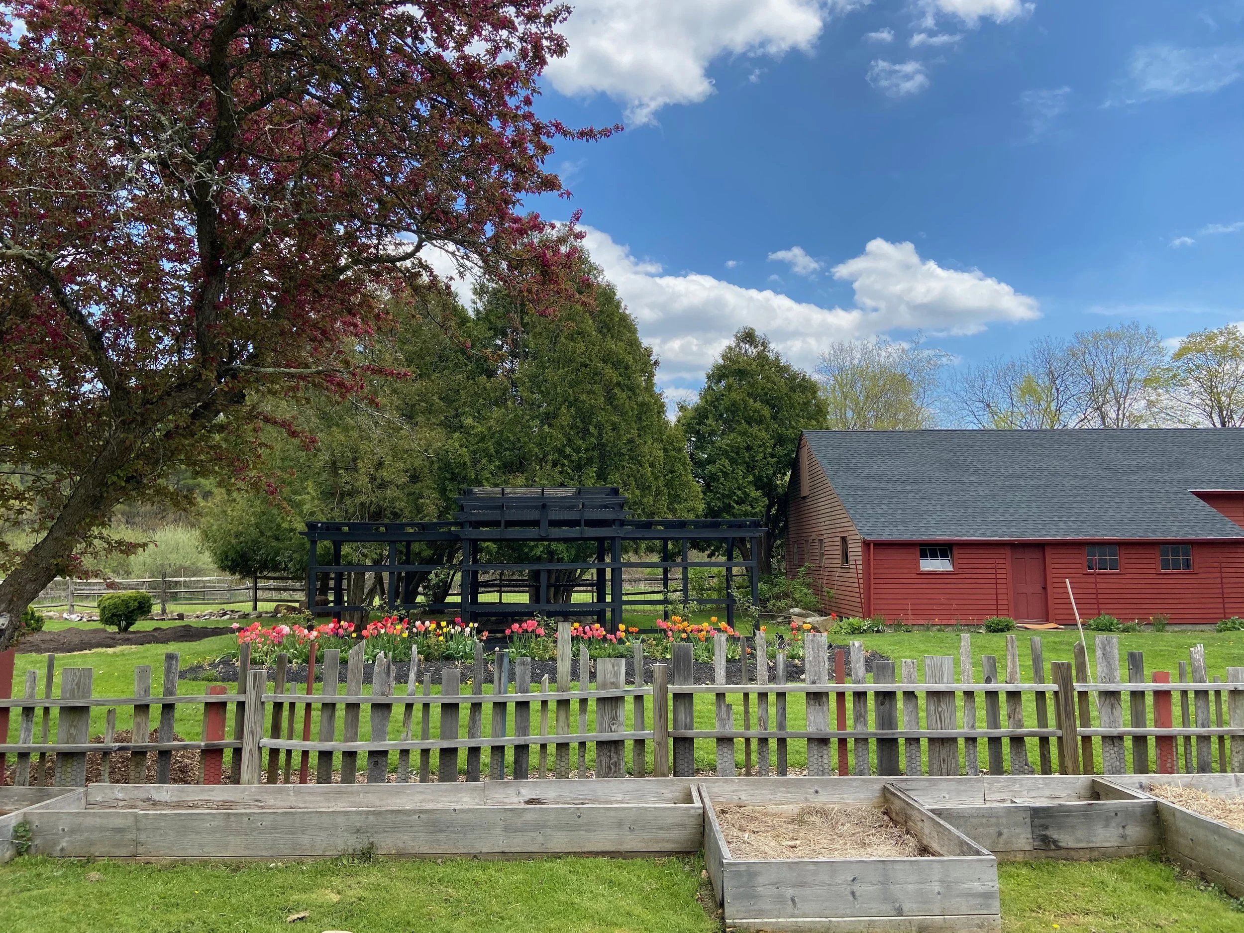 The Barn — The Phineas Wright House