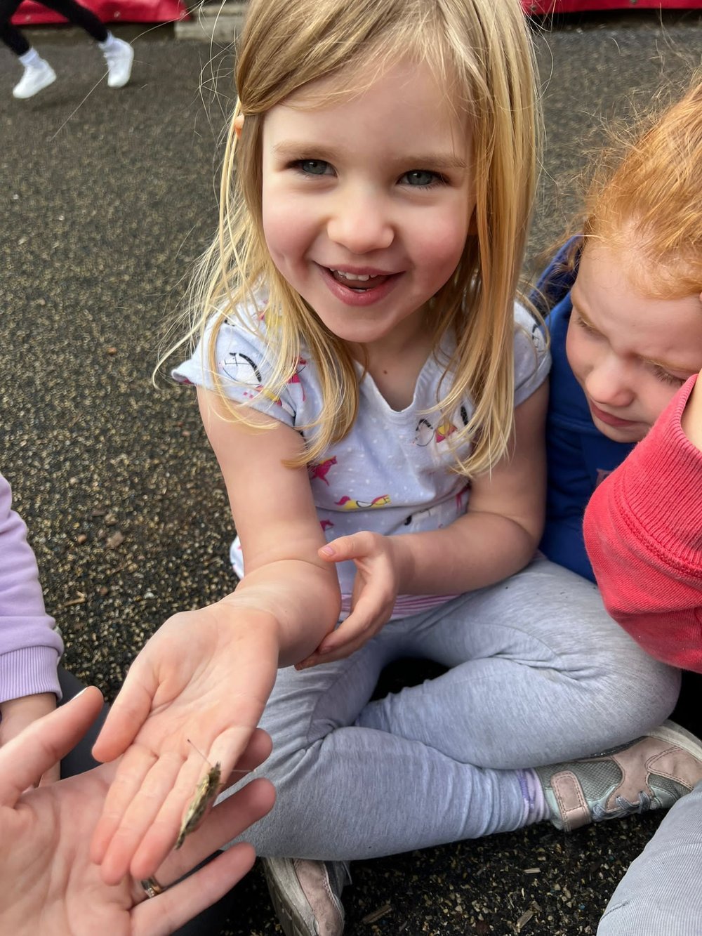 Flutter like a Butterfly — First Steps Children's Nursery | Poole, Dorset