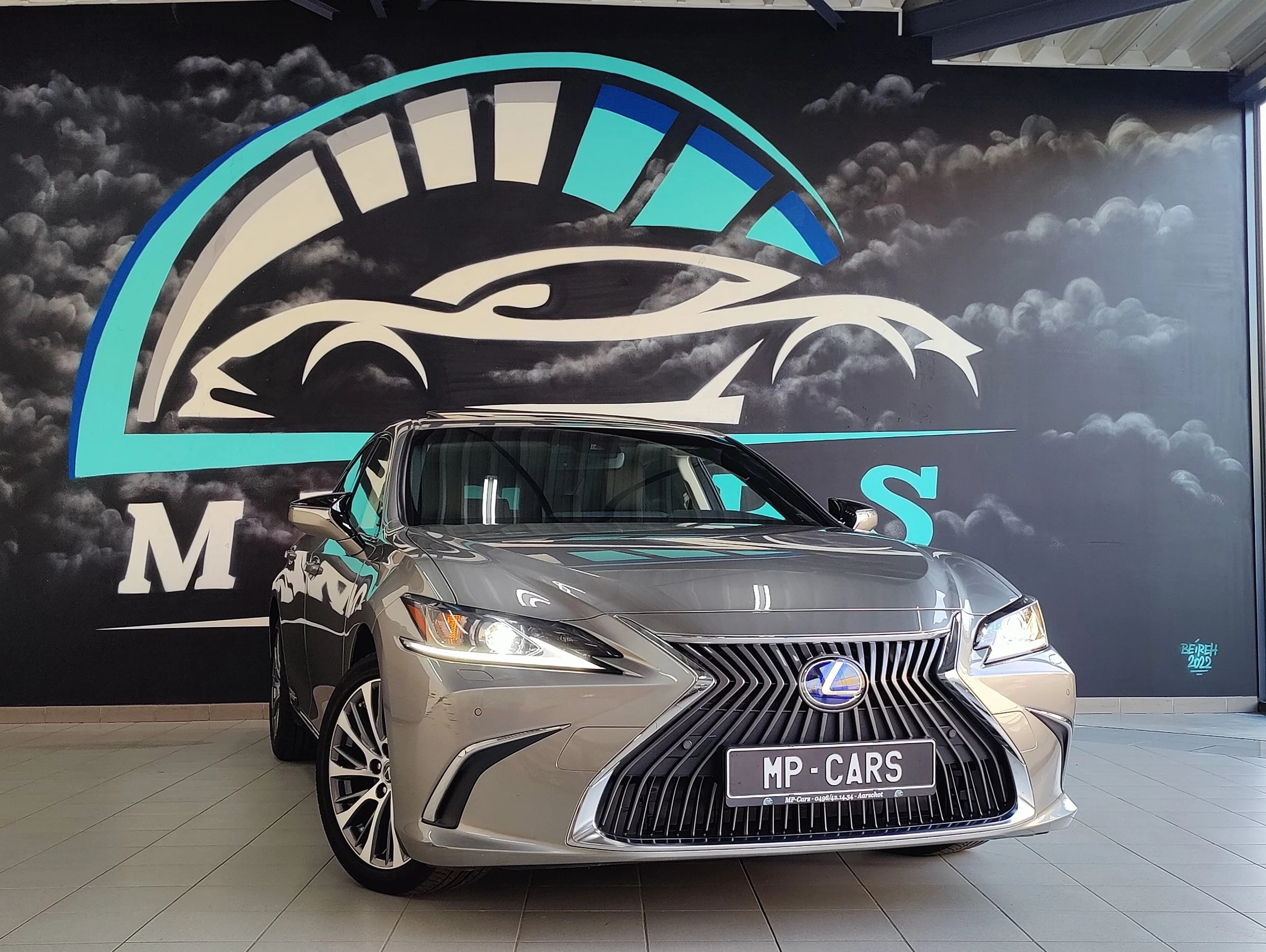MP CARS
