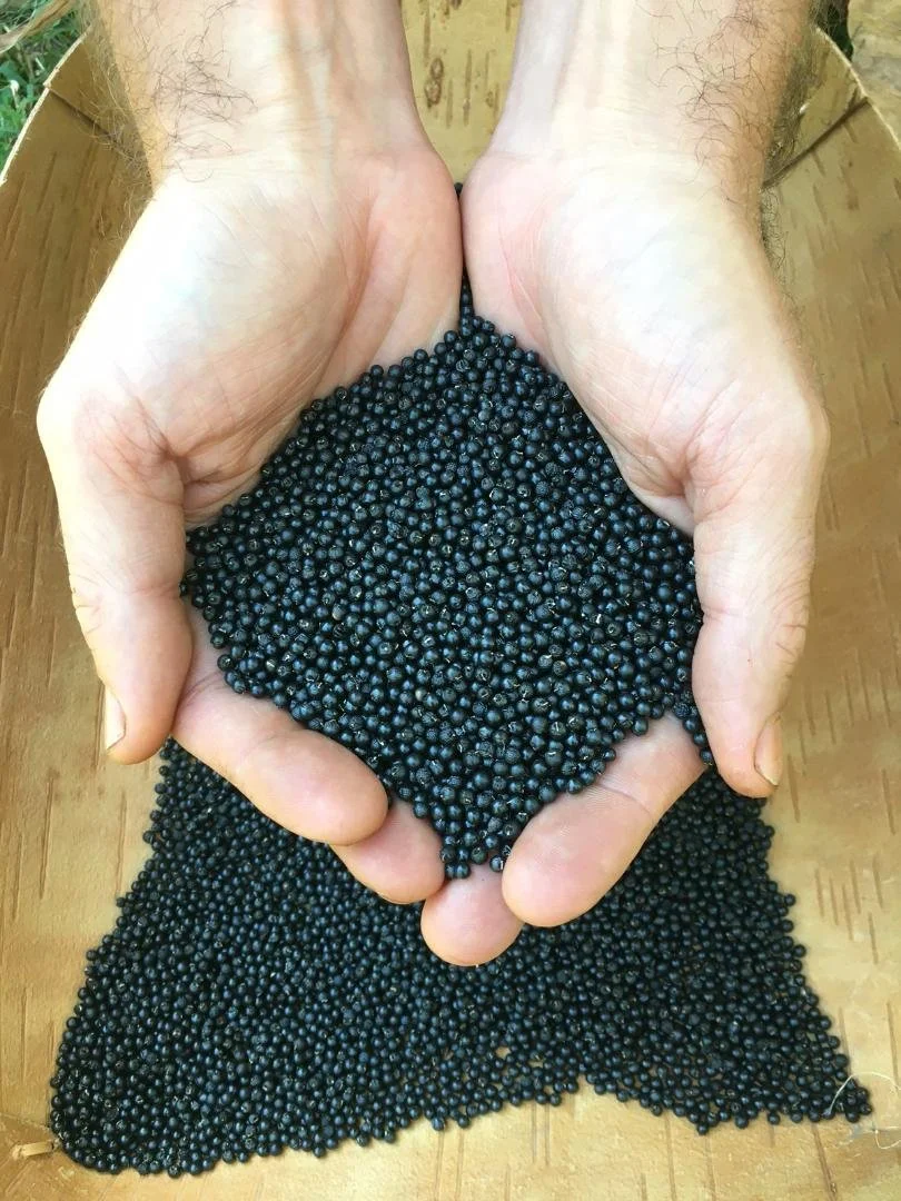 Drop Seed Ecology