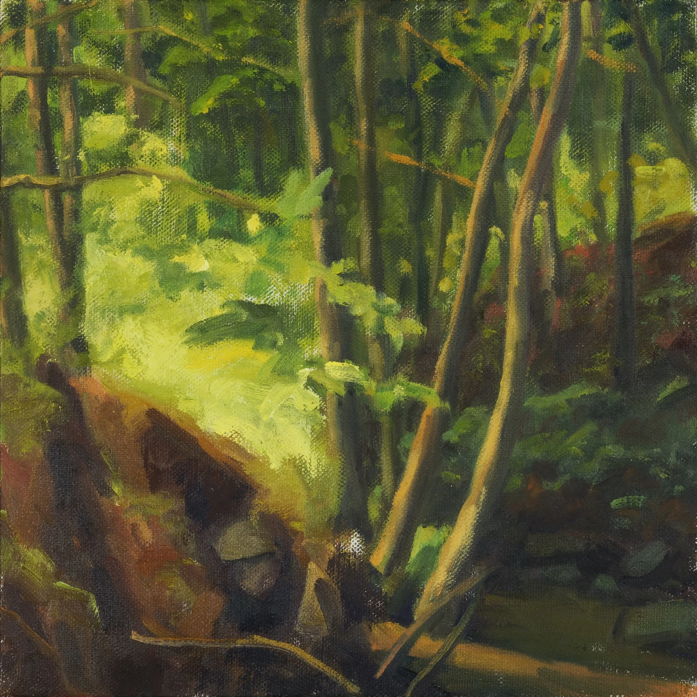 Streambed — Louise Hamlin