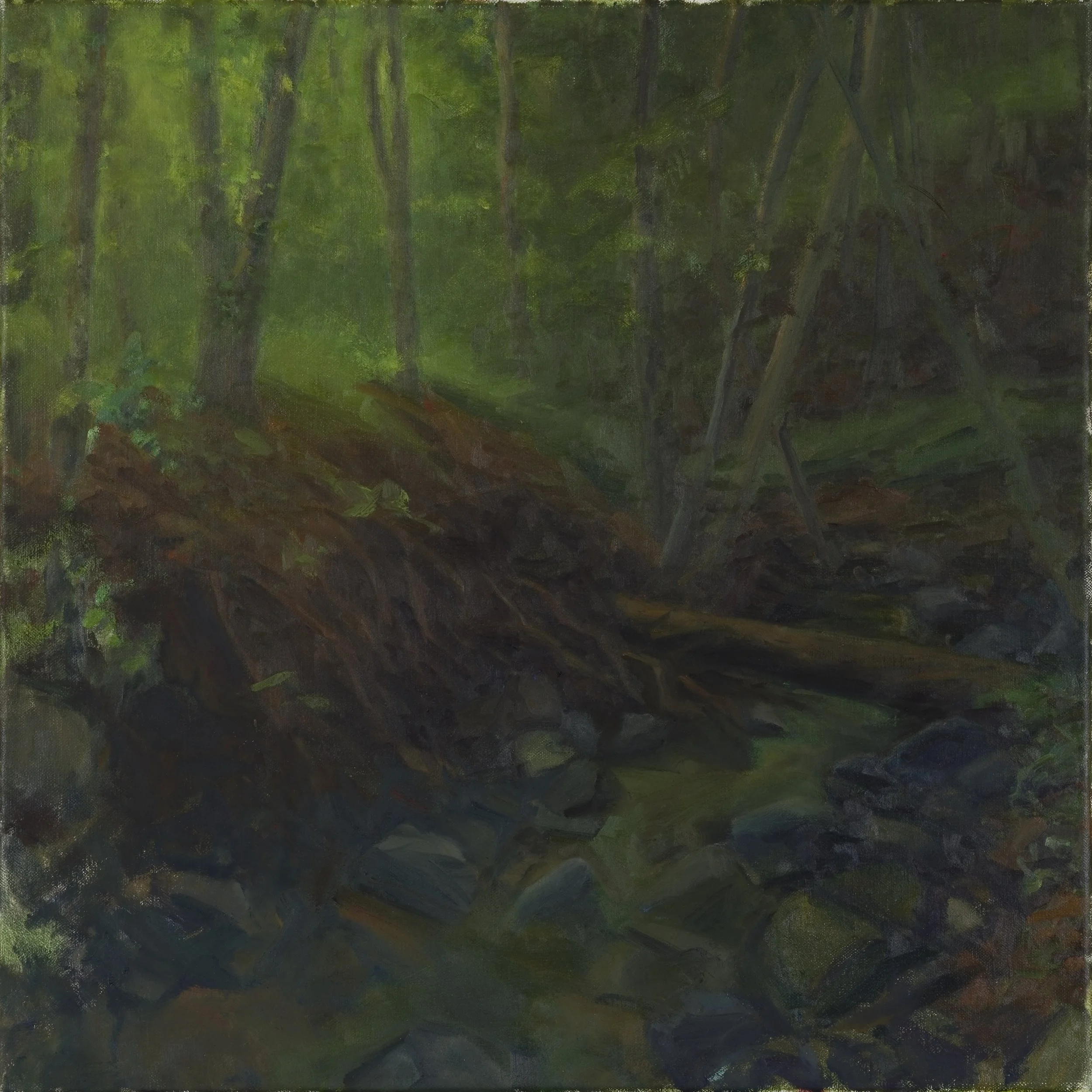 Streambed — Louise Hamlin