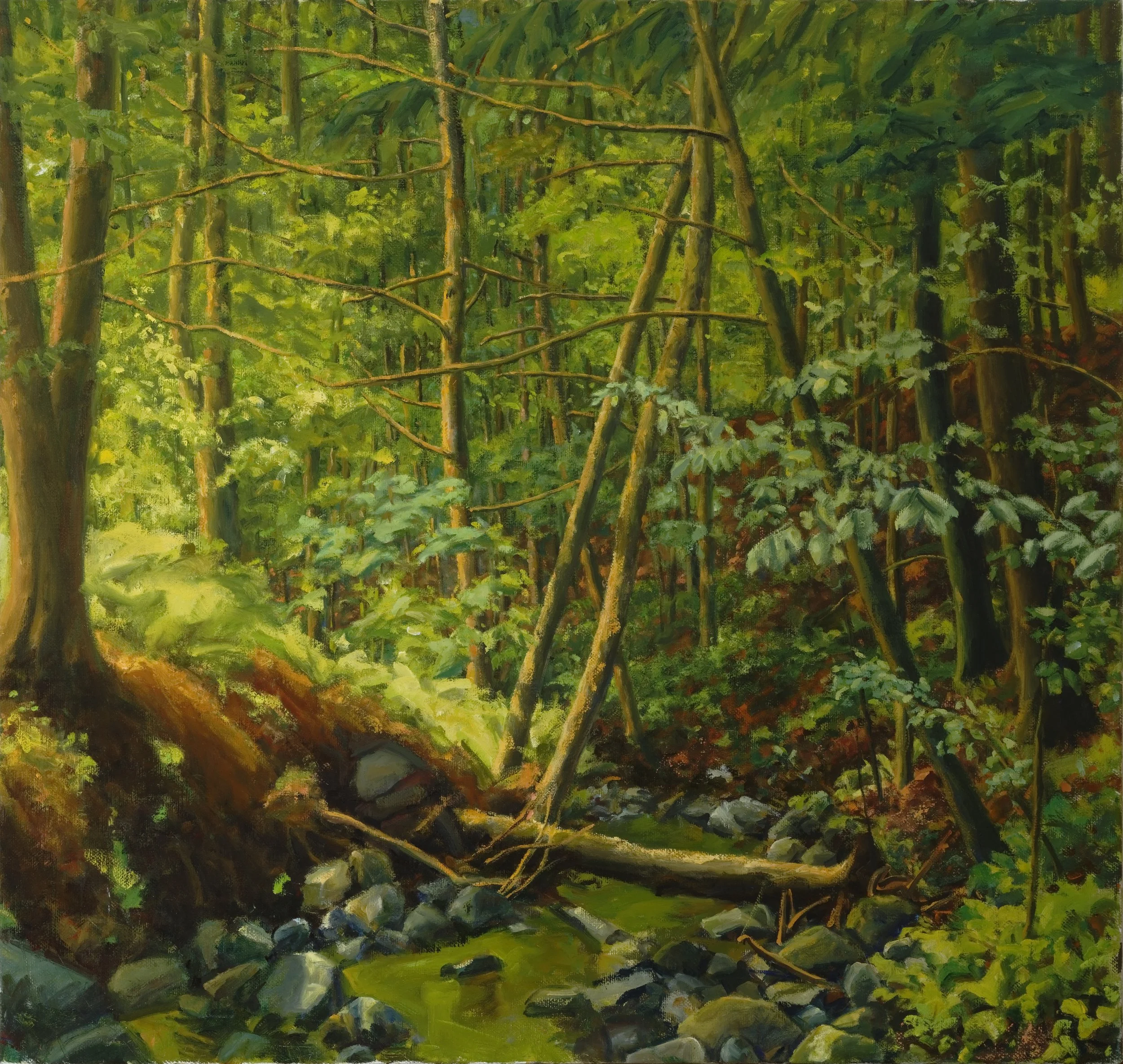 Streambed — Louise Hamlin