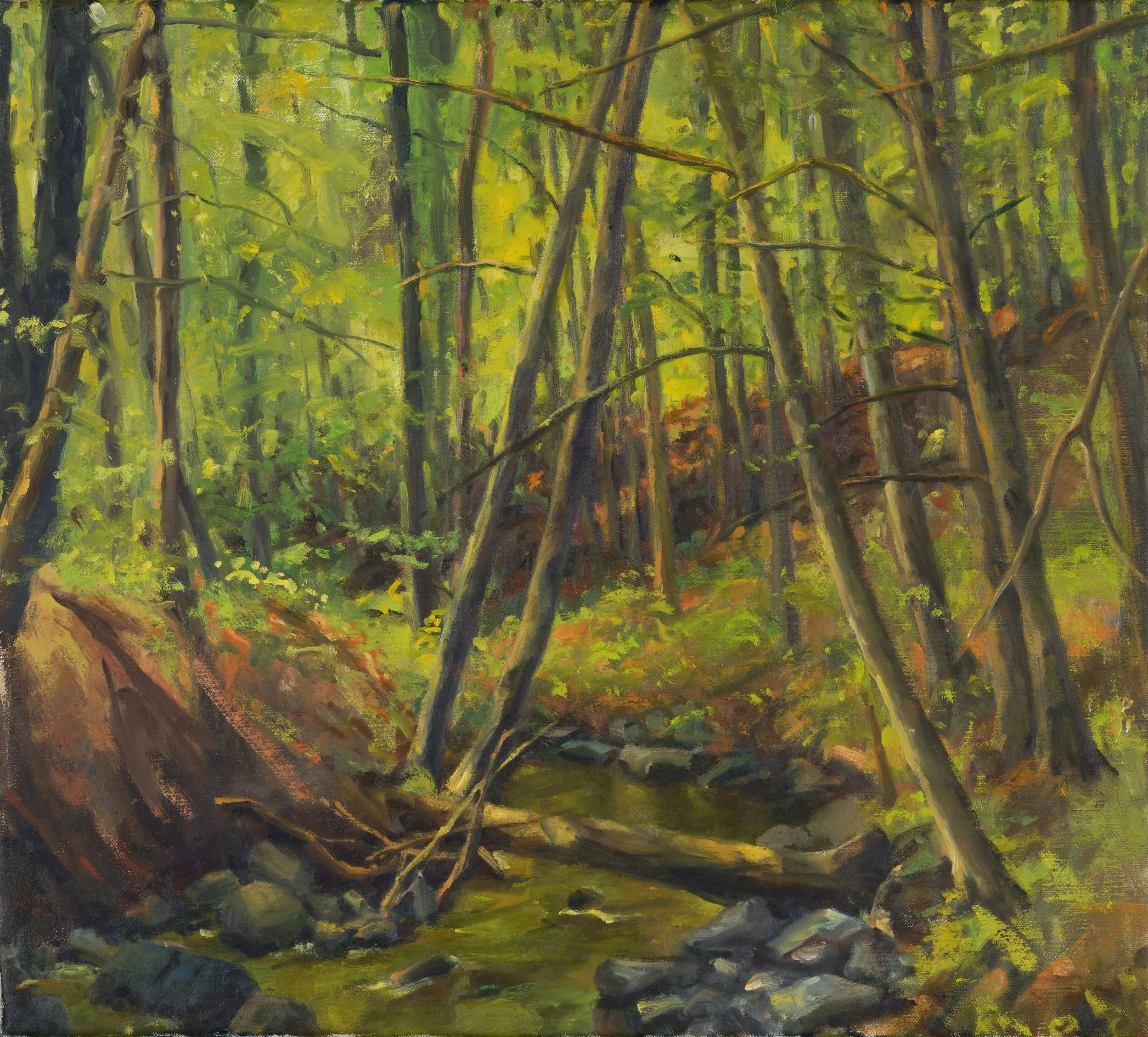 Streambed — Louise Hamlin