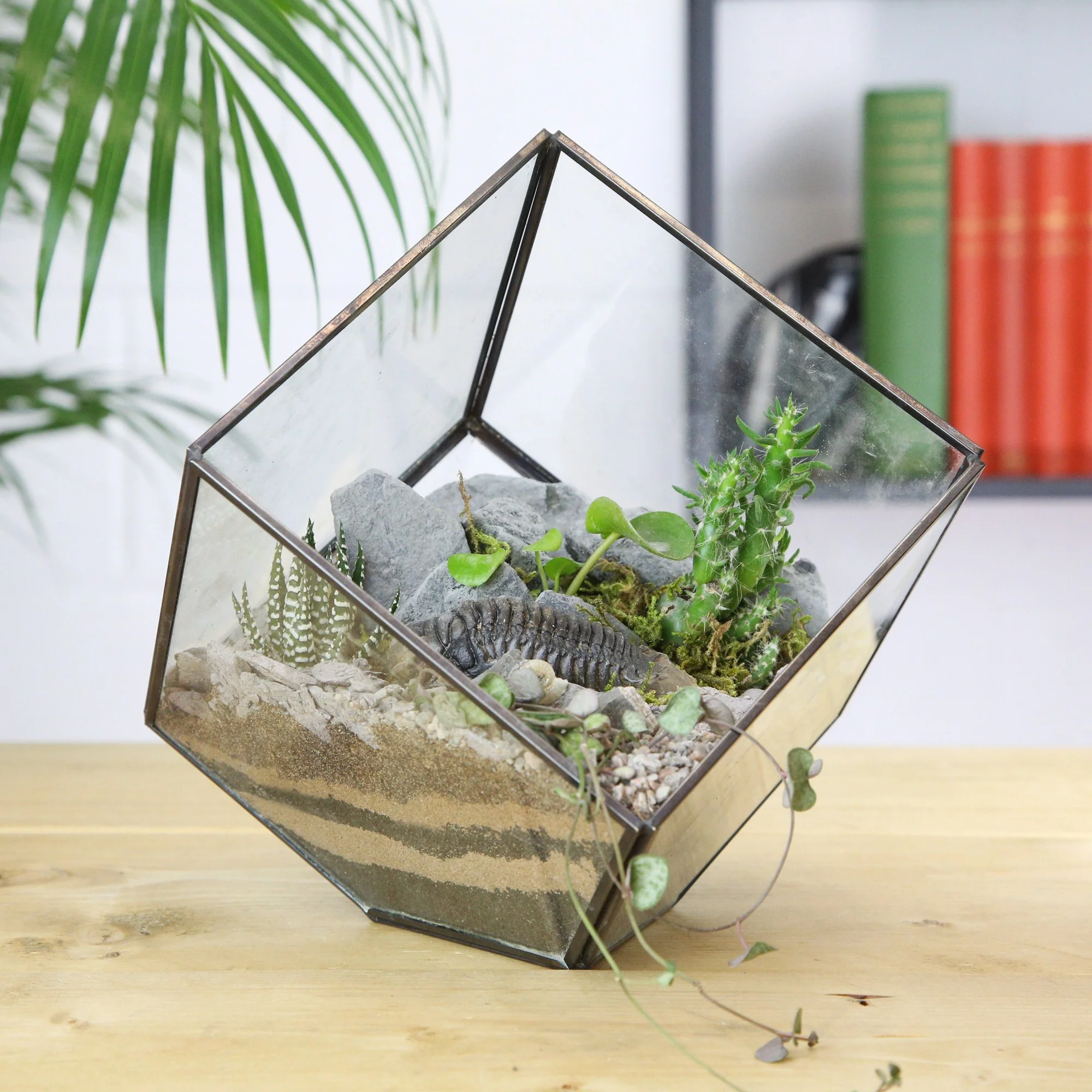 Mosasaurus Tooth in Matrix — Curated