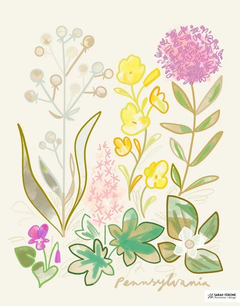 Native Plants Botanical Illustration Series — SARAH FERONE Illustration ...