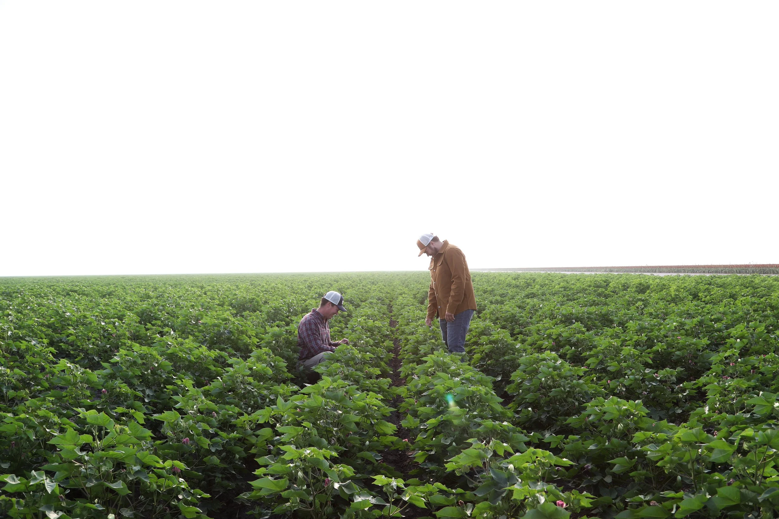 Jenn Rose Smith — Photographer & Cinematographer