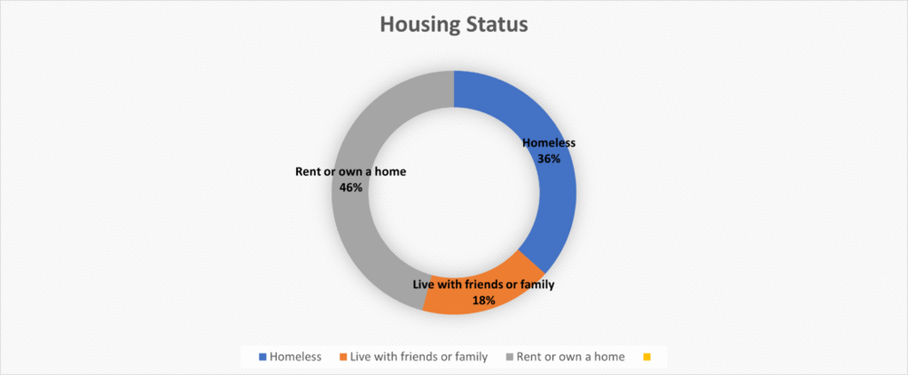 HealthConnect Data Visualization: Housing Pathway Results — SWACH