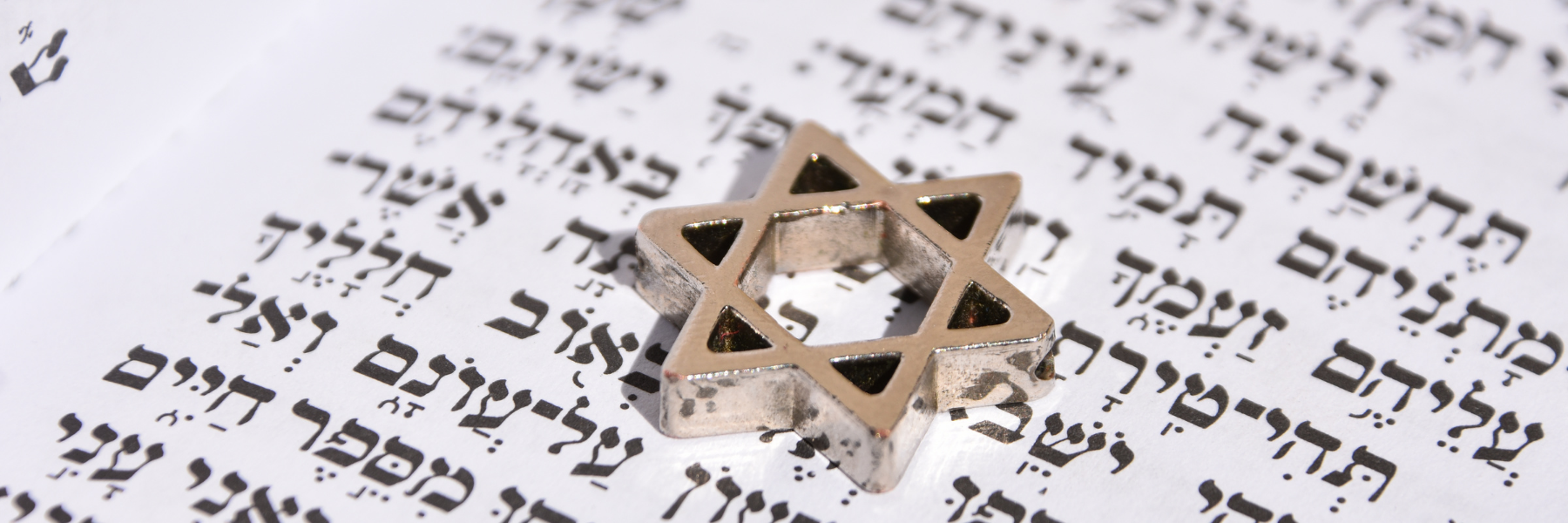 Services — Lodzer Centre Congregation