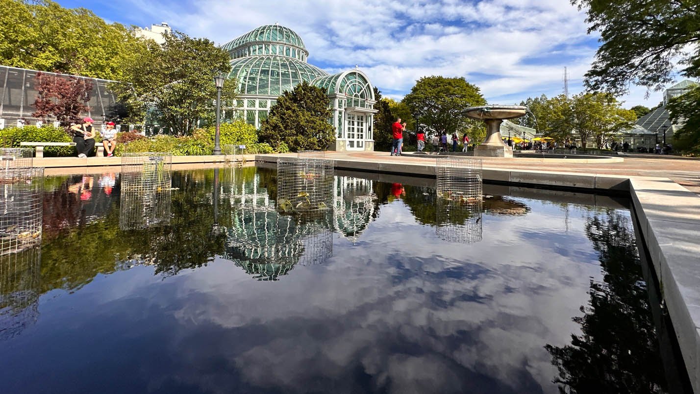 How to visit the Brooklyn Botanical Garden — The Empty Nest Explorers