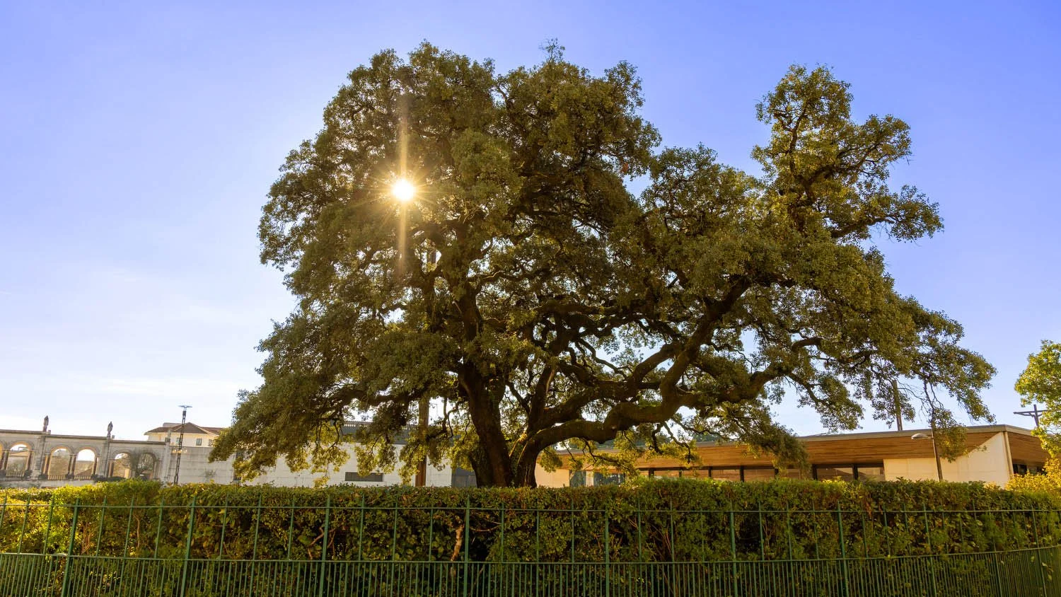 Visiting Fatima, what you need to know — The Empty Nest Explorers