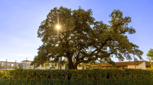 Visiting Fatima, what you need to know — The Empty Nest Explorers