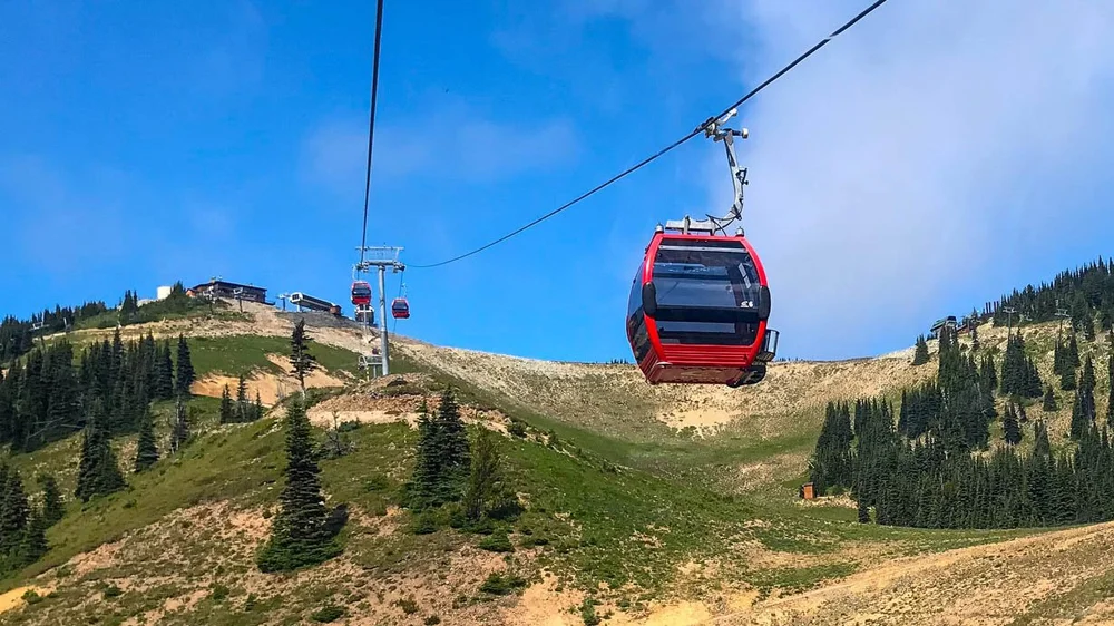 Visiting Mount Rainier National Park: what to see and do — The Empty ...