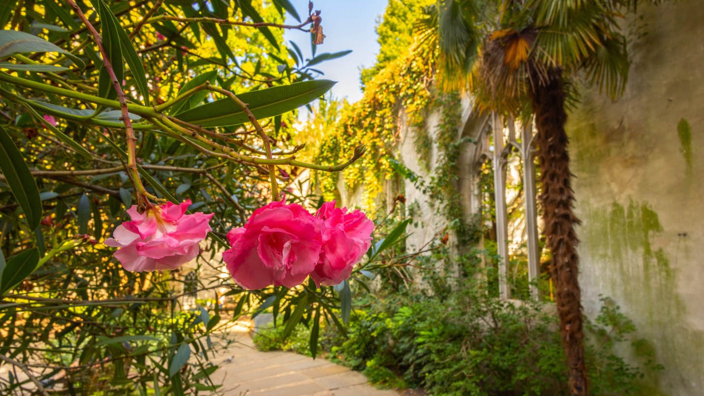 Visiting picturesque St. Dunstan-in-the-East Church Garden in London ...
